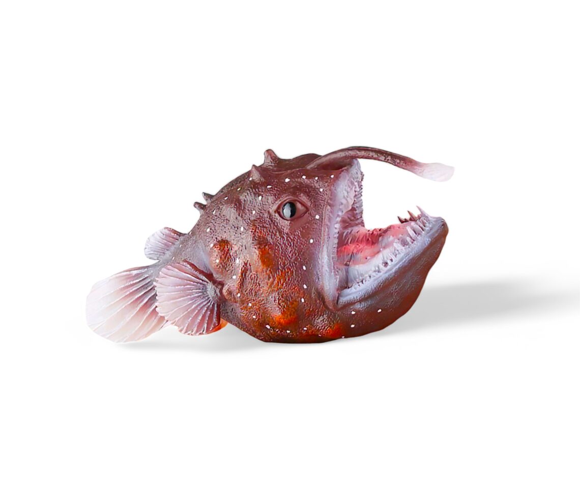 Anglerfish Punya Cara Reproduksi Yang Unik, Loh! – Nowbuzz